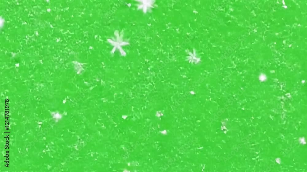 Falling Snow on Green Screen Background 4K. Isolated Snowfall and ...