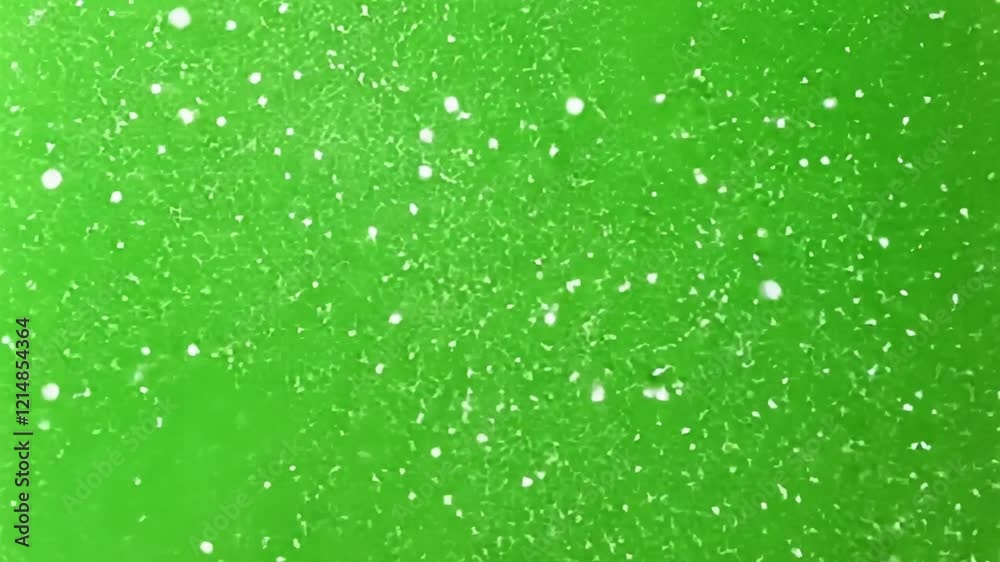 Falling Snow on Green Screen Background 4K. Isolated Snowfall and ...