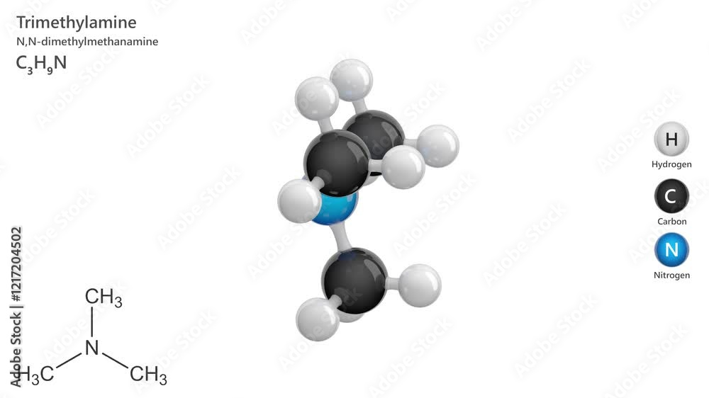 Trimethylamine. Animated 3D model of a molecule. Molecular formula: C3H9N. Chemical model: Ball ...