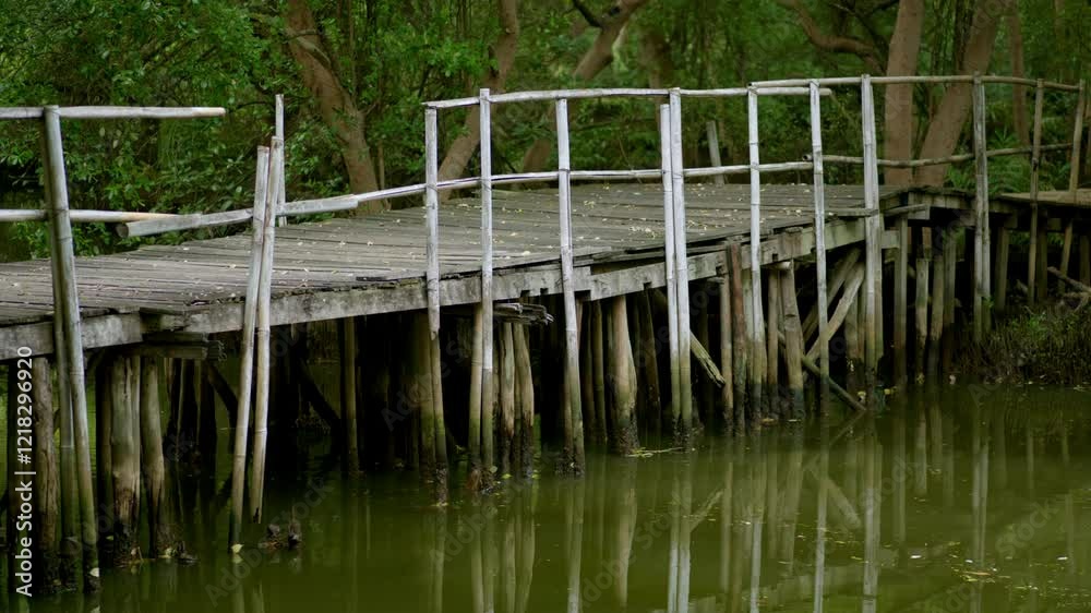 Wooden bridge at Mangrove swamp forest, mangrove swamp, mangroves ...