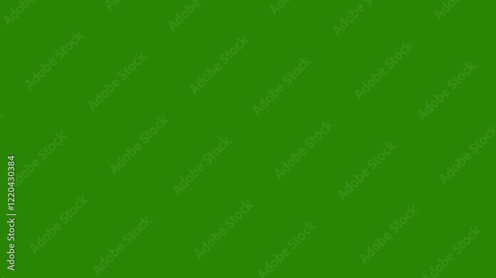 Wood Stamp Green Screen Wooden Stamp Holder Animation 4k Wood stamps ...