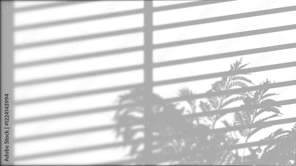 Gobo Lighting Window and Plant, Shadow, Aesthetic Stock Video | Adobe Stock
