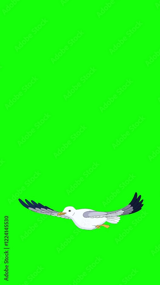 Seagull on Green Screen Background. 2D animation 4K Vertical video Stock 비디오 | Adobe Stock