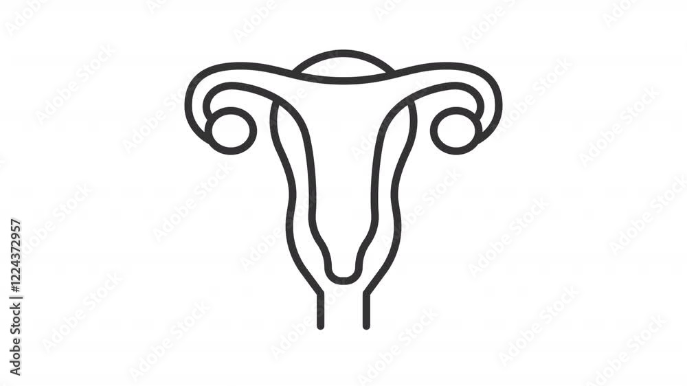 Animated uterus icon. Gynecology and reproductive system line animation ...