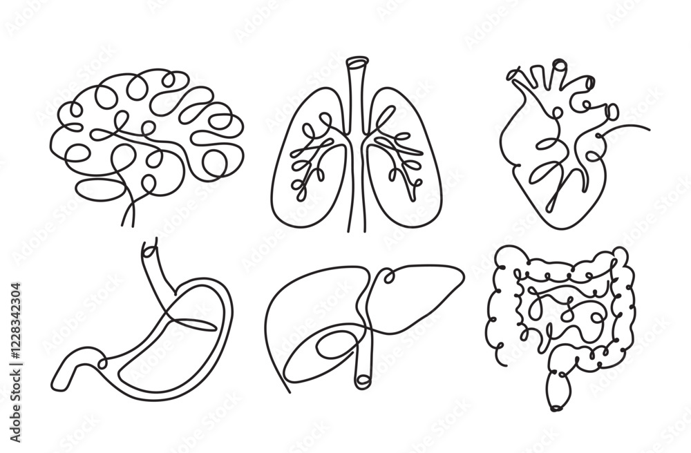 Poster Human organs line art design. Vector illustration – Wall Art ...
