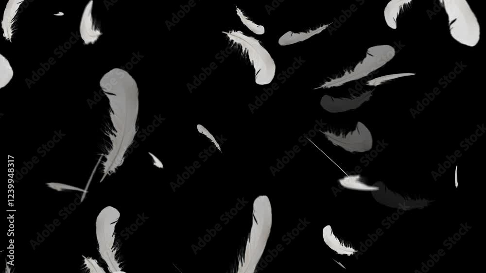 Many white feathers floating and falling on a transparent background ...
