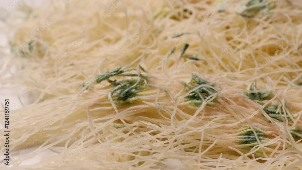 mould on dough Kataifi dough rotating in circle. Shredded phyllo dough ...