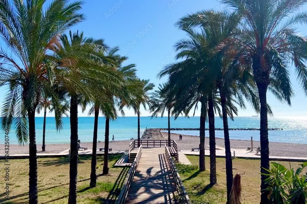 Beautiful palmlined pathway leading to a tranquil beach with vibrant ...