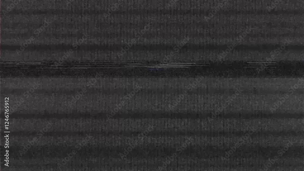 Analog Static Noise texture overlay. Horizontal stripes offset . No signal white noise artifacts ...