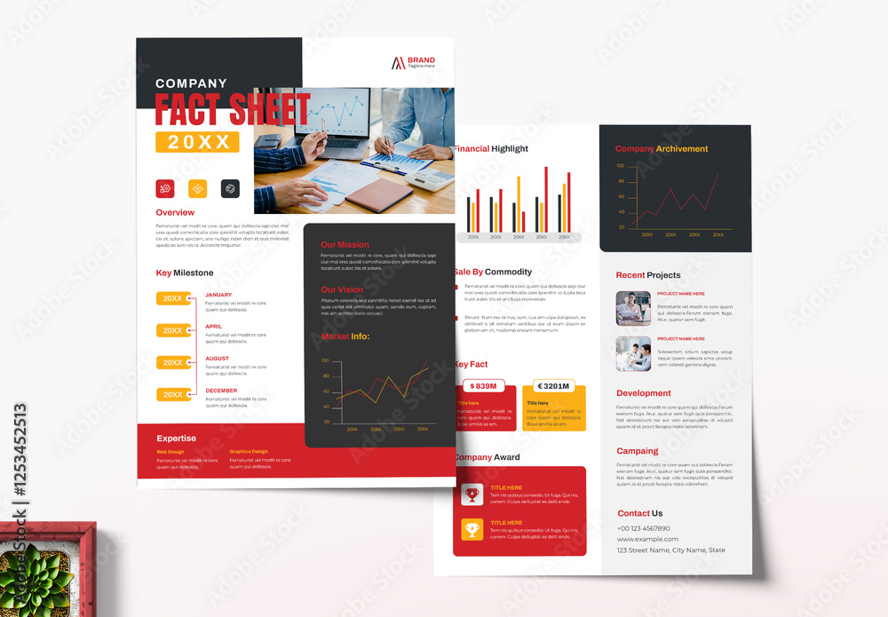 Company Fact Sheet Layout Stock Template | Adobe Stock