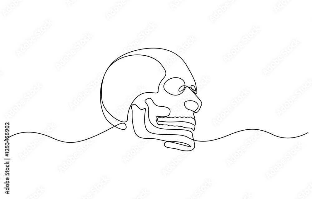 Poster Continuous one line human anatomical skull vector illustration ...