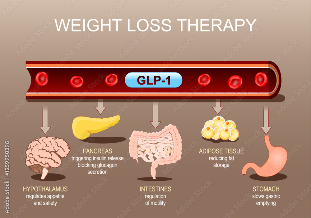 Poster Weight loss therapy and GLP-1 – Wall Art | UkPosters