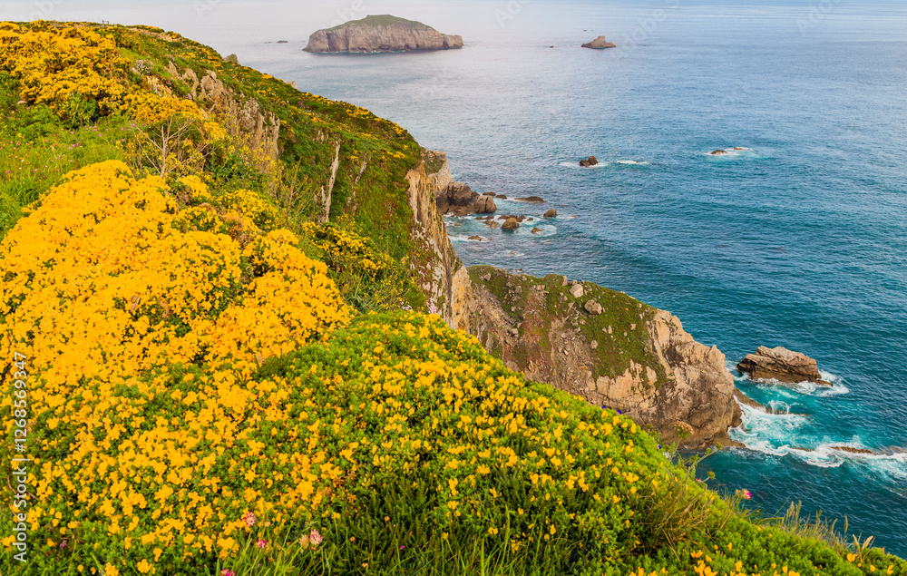 Poster Cape Penas is the northernmost cape in the Principality of ...