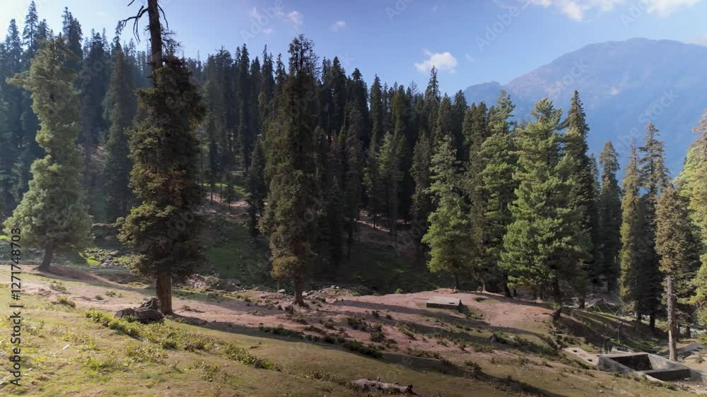 The Scenic Jewel of Kashmir's Verdant Valleys, Baisaran in Pehalgam,is ...