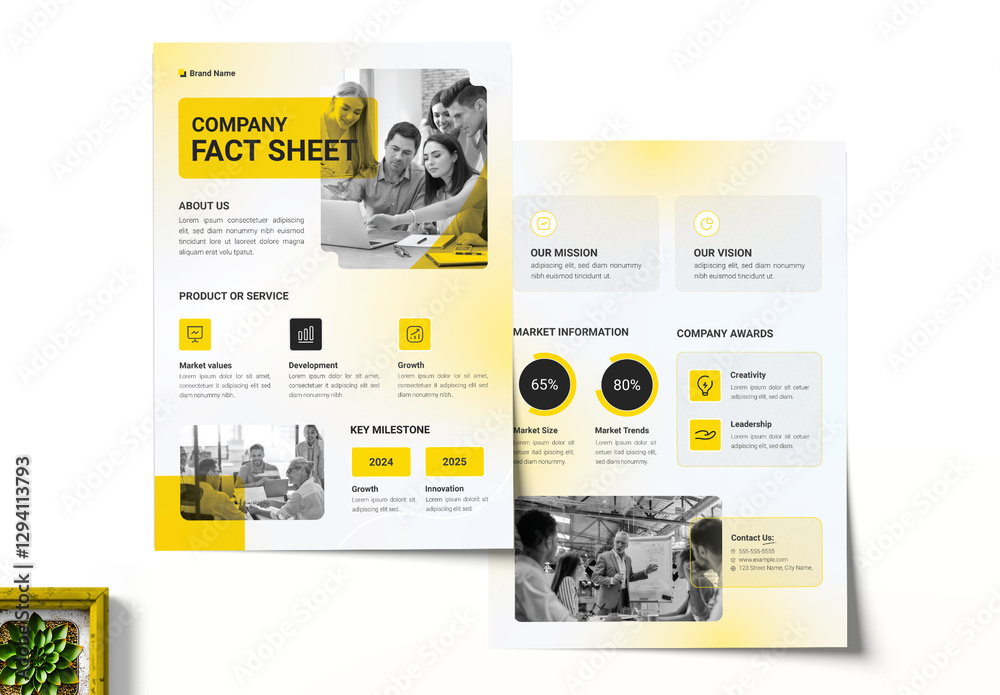 Modern Company Fact Sheet Layout Stock Template | Adobe Stock