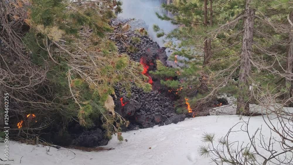 Mount Etna volcano eruption 2025 lava flow inside the forest Stock ...