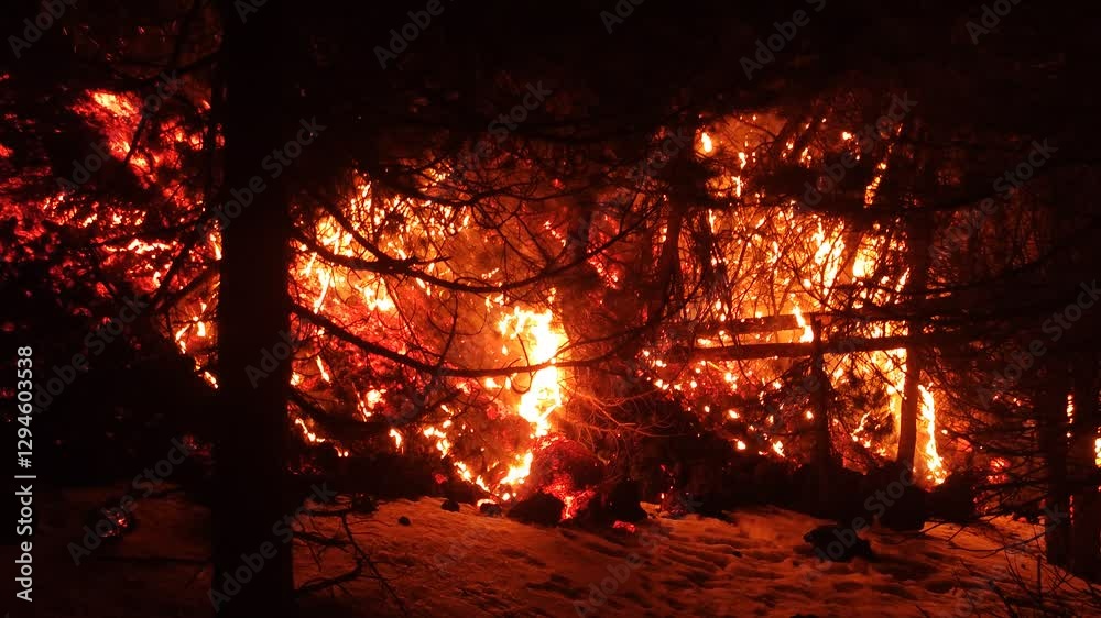 Mount Etna volcano eruption 2025 lava flow inside the forest Stock ...