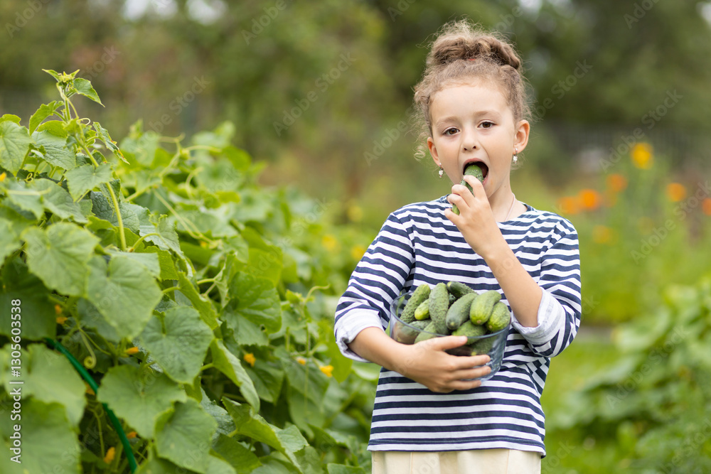 Poster kid girl collecting autumn ecologically clean product harvest ...