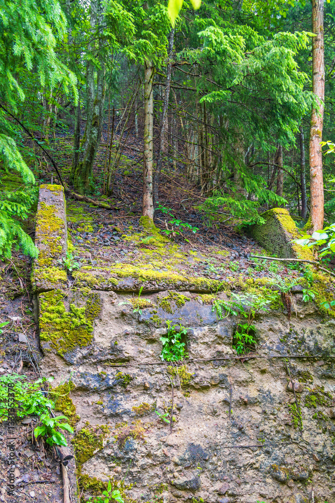 Poster Old loading ramp in concrete in a forest – Wall Art | UkPosters