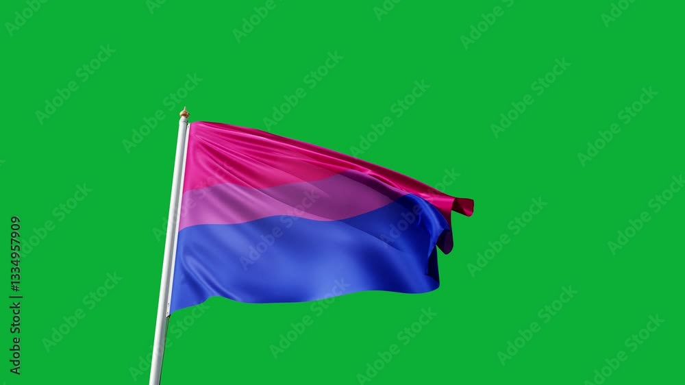 bisexual pride flag on a green screen, waving in the wind, lgbt flag ...