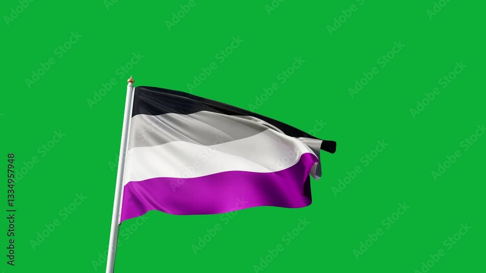 asexual pride flag on a green screen, waving in the wind, lgbt flag ...