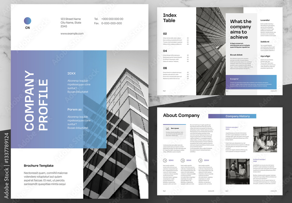 Blue And Purple Company Profile Stock Template | Adobe Stock