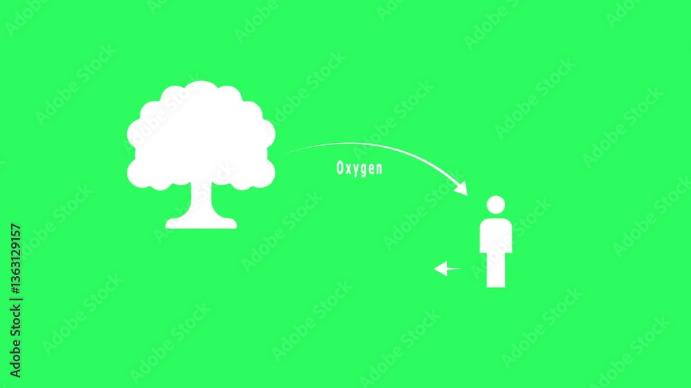 The Oxygen cycle.Oxygen Cycle Diagram for Science Education animation ...