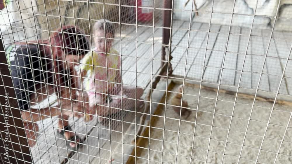 Small animals in enclosures, appreciating wildlife safely, ethical zoos and sanctuaries ...