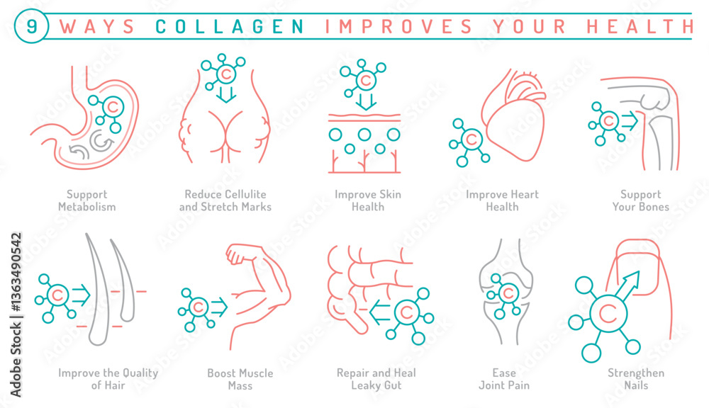 Poster How collagen improves human health – Wall Art | UkPosters