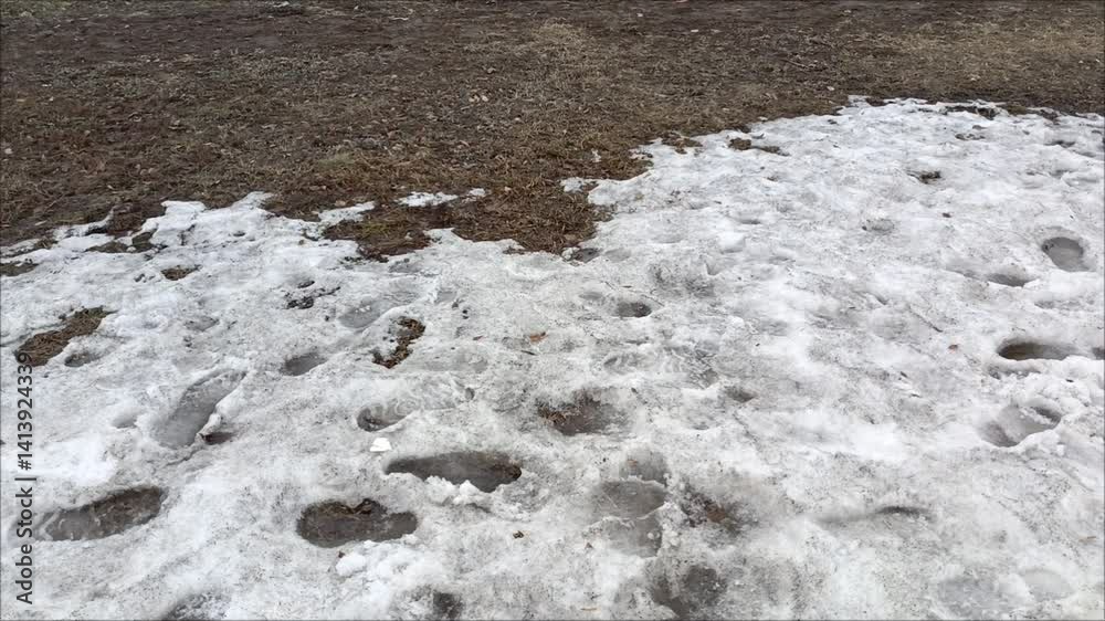 Snow melts on the ground. Snowmelt in spring. The warming. Puddles ...