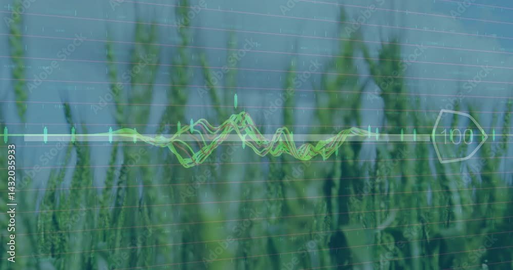 Wheat field displaying animated neon waveform chart overlay with ...