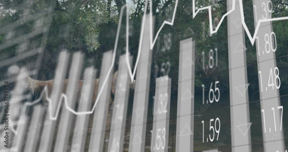 Golden retriever standing in shallow water overlaying bar chart and ...