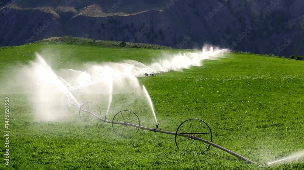 Agricultural water usage and water management policies. Irrigation ...