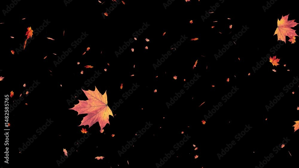 Falling maple leaves gently drift from left to right in seamless looped ...