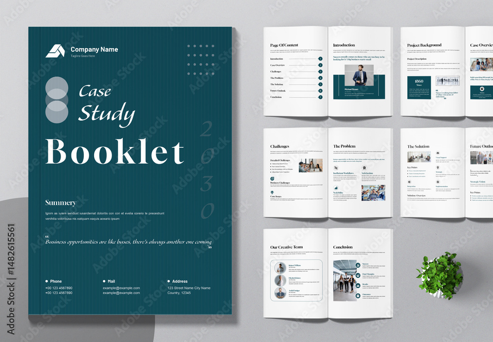 Case Study Booklet Template Design Layout Stock Template | Adobe Stock