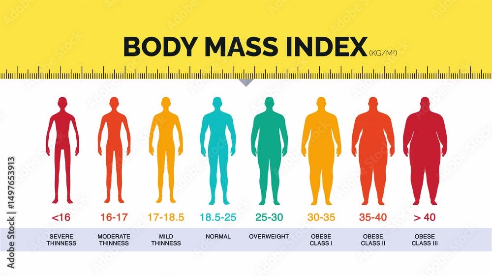 Animated 2D BMI Chart Infographic – Body Mass Index Visualization vídeo ...