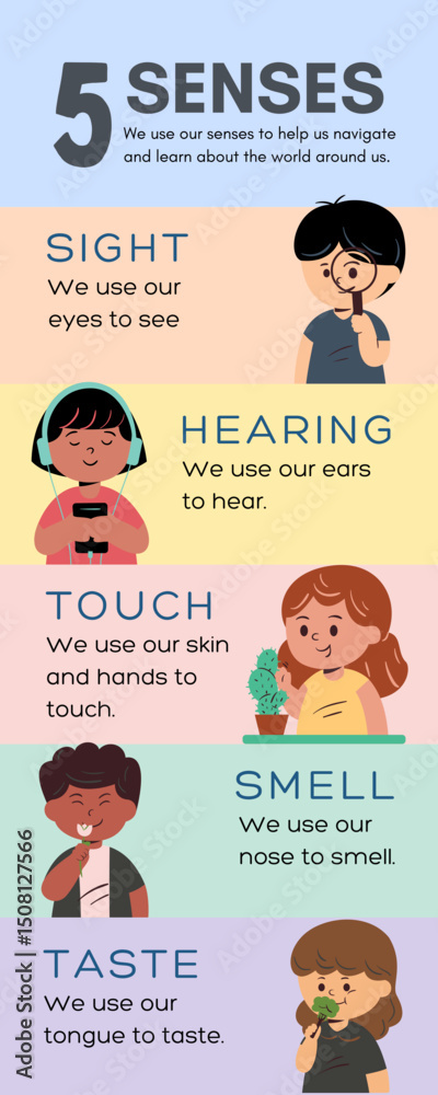 Poster An educational infographic illustrating the five senses (sight ...