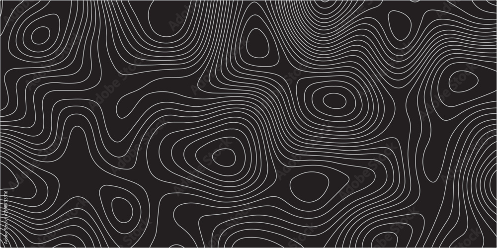 Poster A detailed topographic map pattern featuring thin gray contour ...