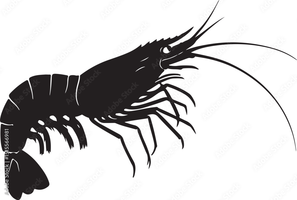shrimp vector outline