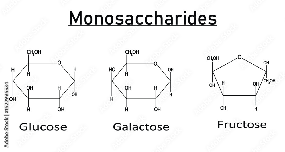 Poster Chemical Structures of Monosaccharides – Glucose, Galactose, and ...