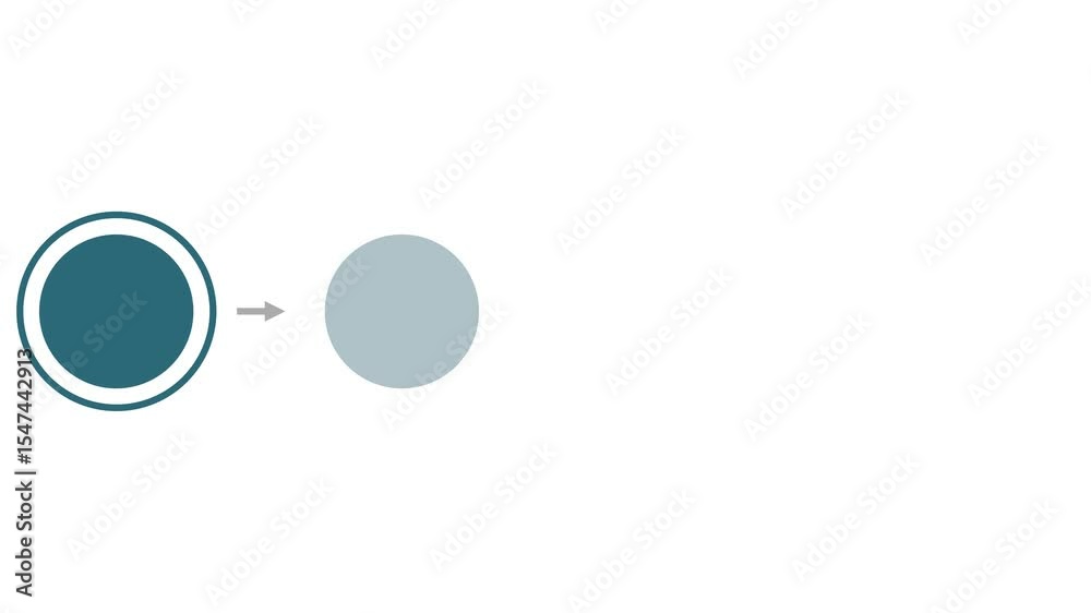 An animated infographic with 4 seamless steps, using smooth transitions ...