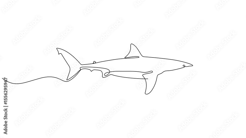 Animated self drawing of continuous line draw aggressive shark, Self ...