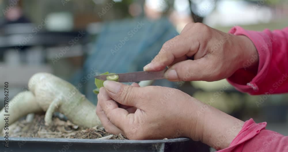 Shaping the Adenium stem with precision using a knife to create a ...