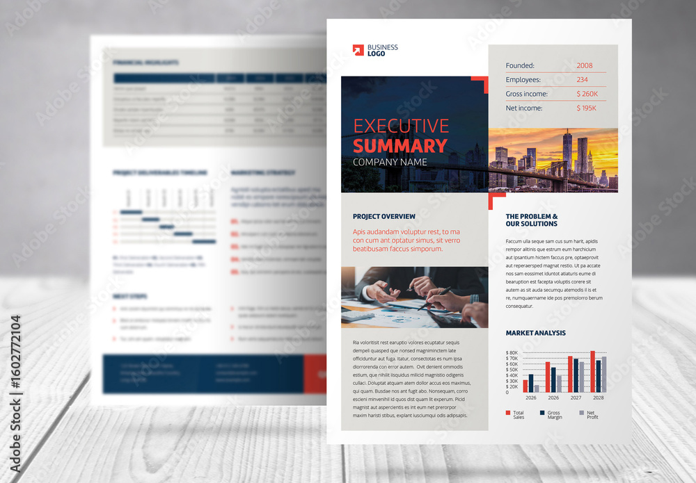 Business Executive Summary Report Template Stock Template | Adobe Stock