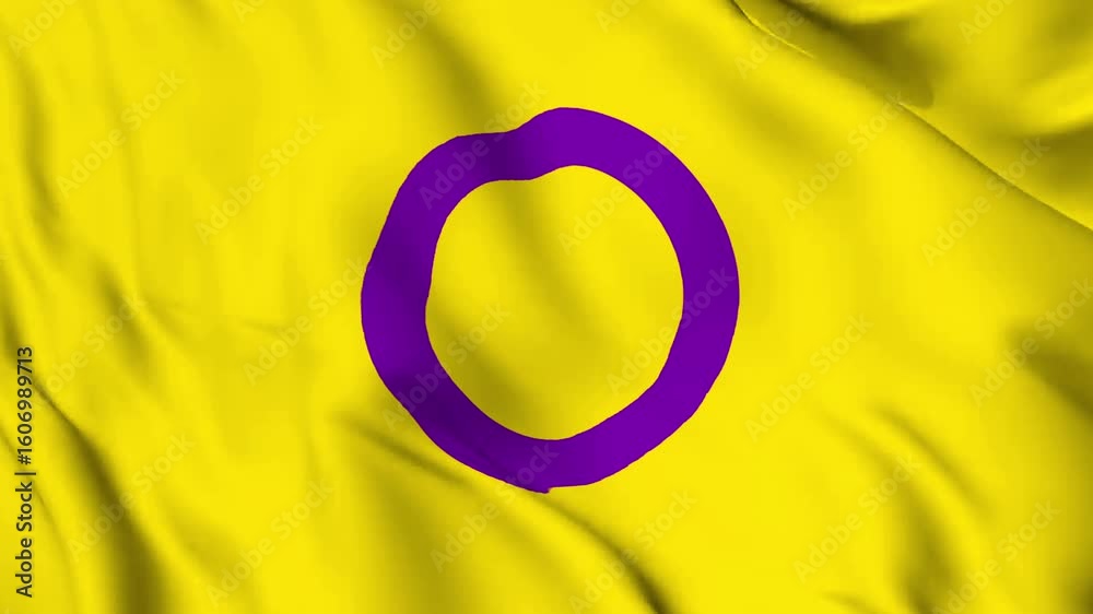 Vidéo Stock The Intersex pride flag background. Realistic Intersex ...