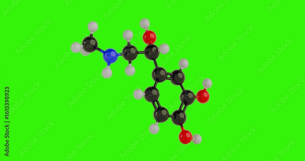 4k Resolution Video: Structural Model of Epinefrine Molecule Chemical ...