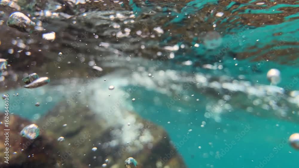Calm saltwater holds tiny rising bubbles near the seafloor, showing the ...