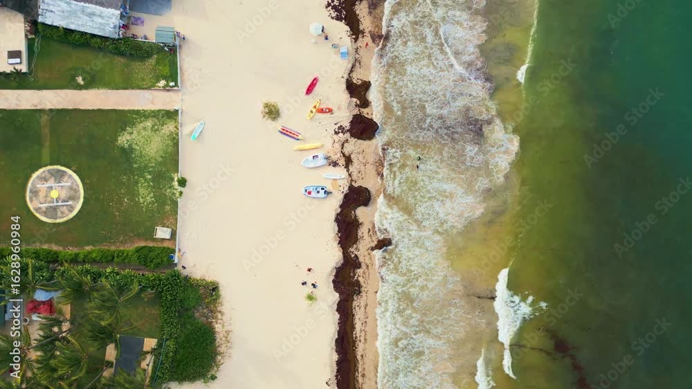 Sargassum Invasion on Tourist Beach. Environmental Disaster in the ...