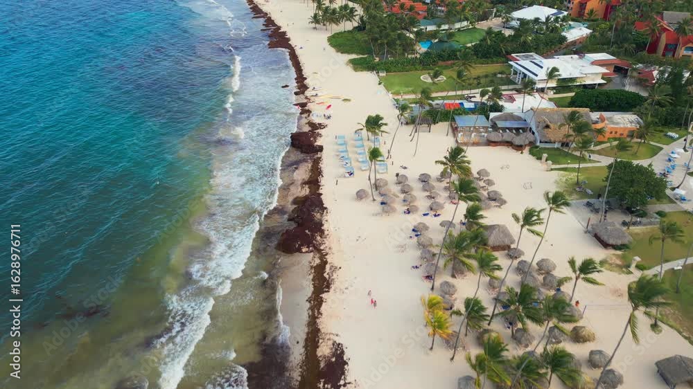 Sargassum Invasion on Tourist Beach. Environmental Disaster in the ...