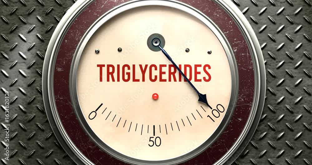 Triglycerides meter that is hitting a full scale, showing rising levels ...